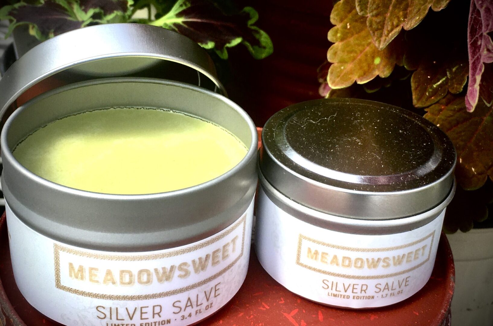 Silver Salve - Meadowsweet